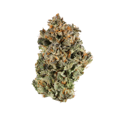 Shop All – Zaza Fun