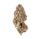 Shop All – Zaza Fun