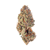 Shop All – Zaza Fun