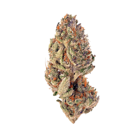 Shop All – Zaza Fun