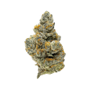 Shop All – Zaza Fun