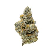 Shop All – Zaza Fun