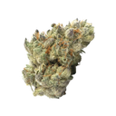 Shop All – Zaza Fun