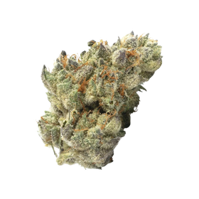 Shop All – Zaza Fun